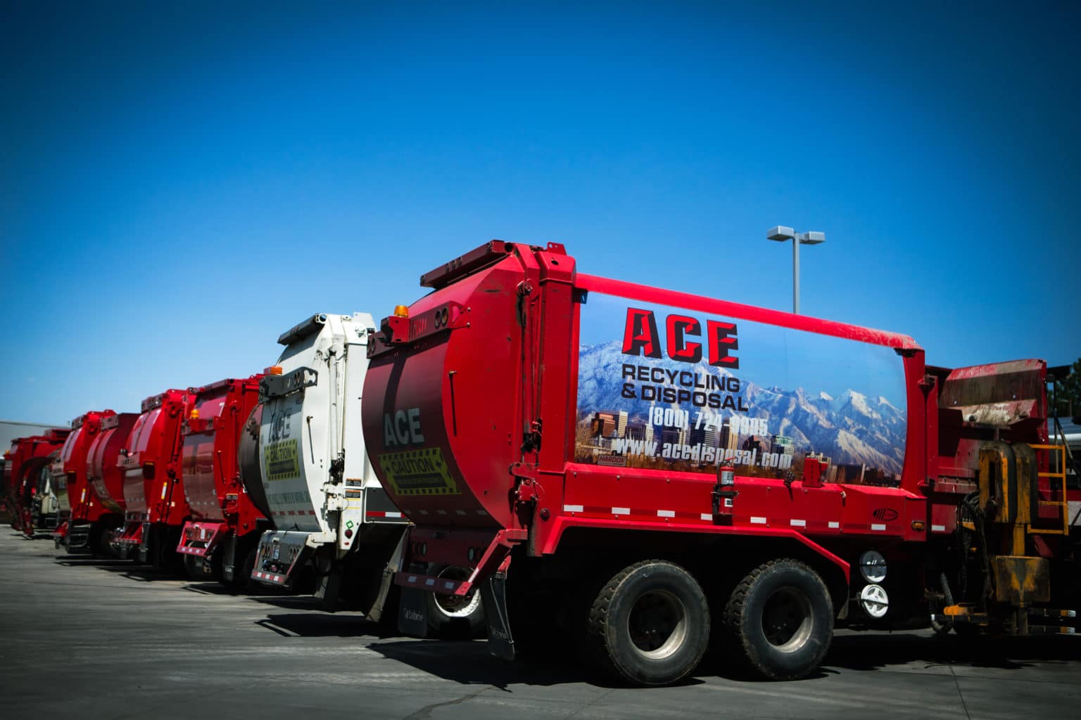 Recycling Pickup Service Solutions | ACE Disposal